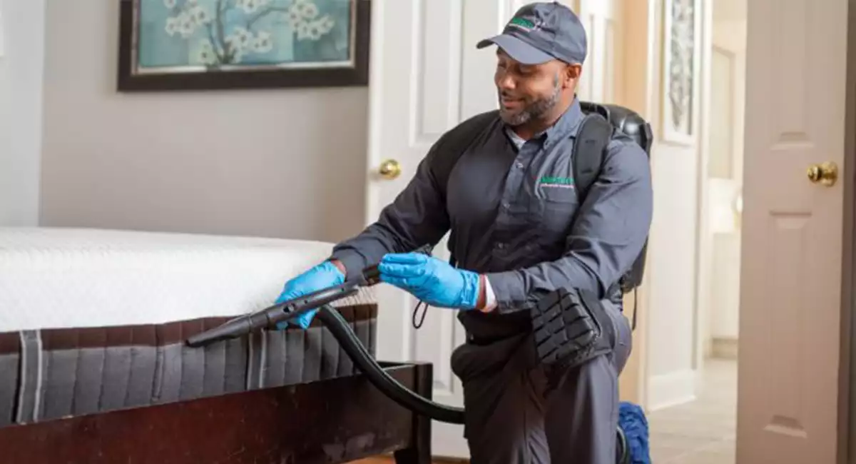 Top 10 Pest Control Tips for Businesses to Follow