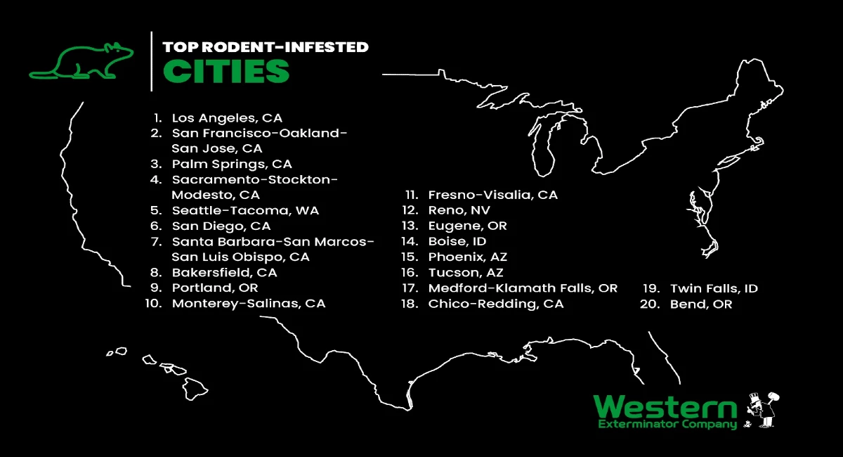 What City Has The Most Rats? Most Rodent-Infested Cities List