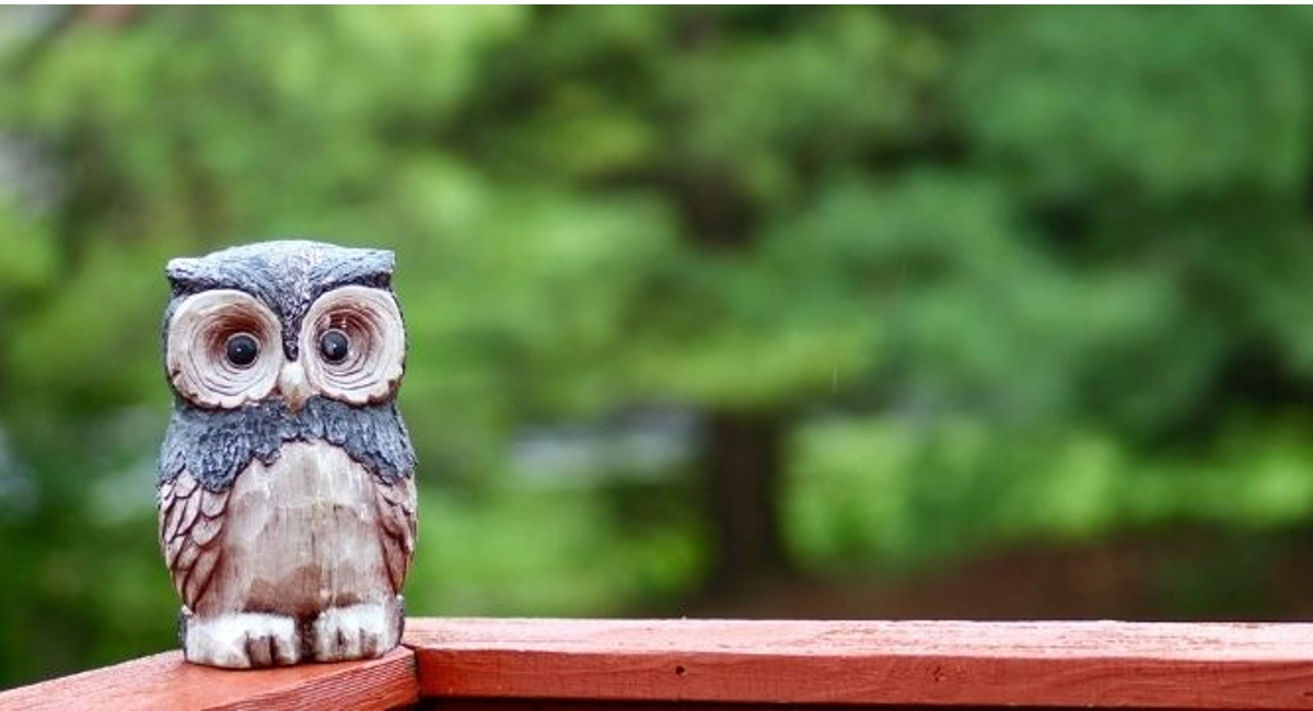 4 Tips for Keeping Birds Out of Your Pool this Summer